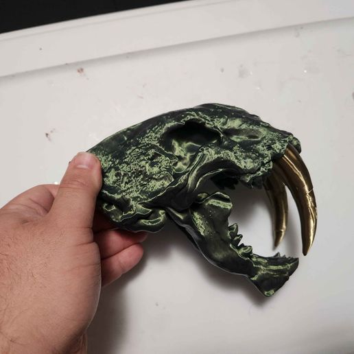 3D print Saber-Toothed Cat Skull • made with Ender 3 V2 with Sprite pro ...