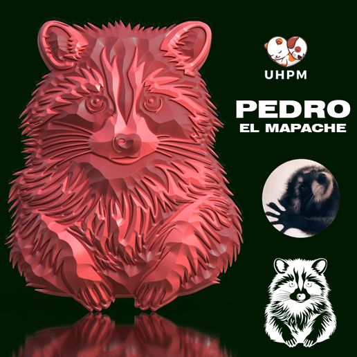 Archivo STL Pedro Pedro - El Mapache 🖨️ ・Idea de impresión 3D para ...