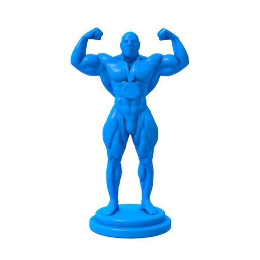 👨 Bodybuilder Man / Boxer Man Trophy / Award Trophy・ STL File for 3D ...