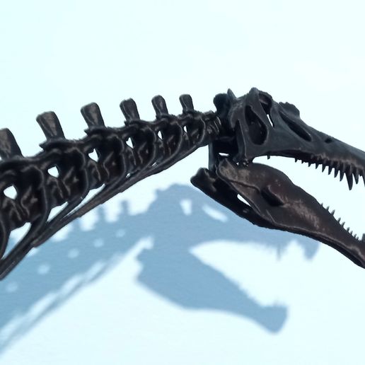 💀 Spinosaurus aegyptiacus skeleton v1,v2 and version JP3 model 3d print ...