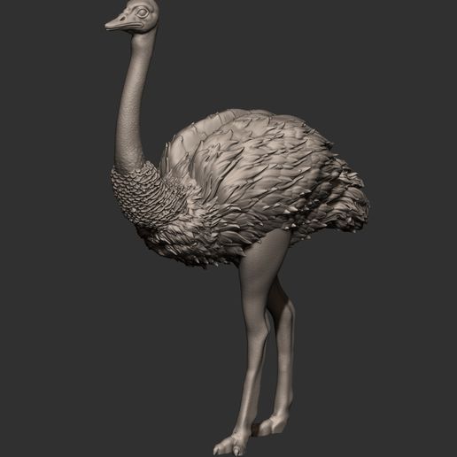 🐄 Animal Kingdom Wildlife set STL Files 3D Printable model・ 3D File for ...