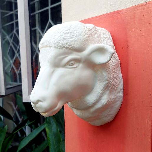 sheep head wall
