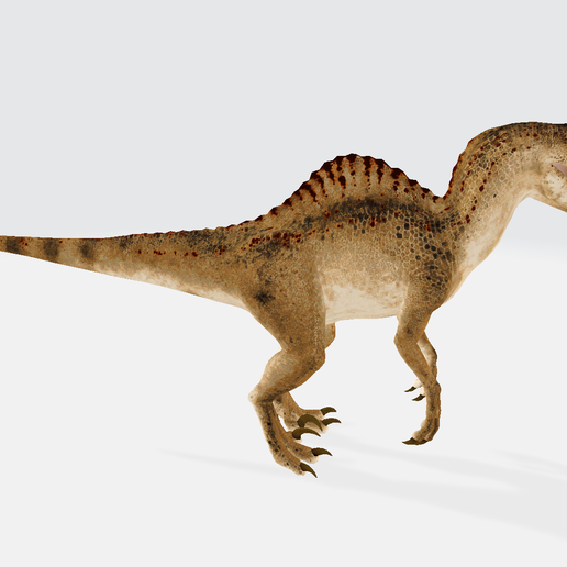 3D file Spinoraptor 🦖 ・3D printable model to download・Cults