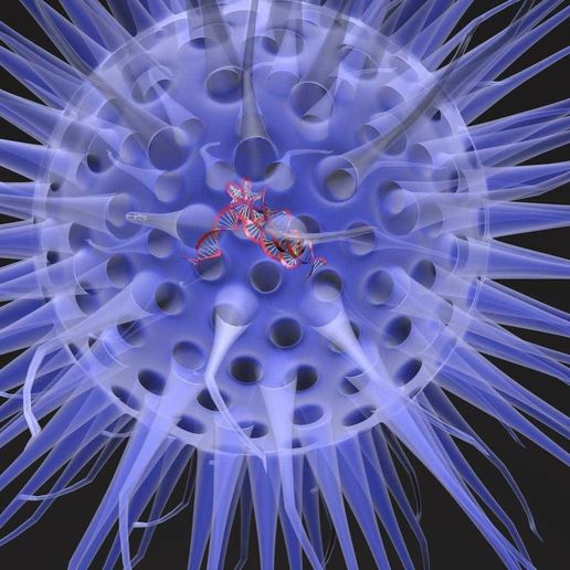 🧬 Virus With DNA helix and labelling・ 3D File for 3D printing・Cults