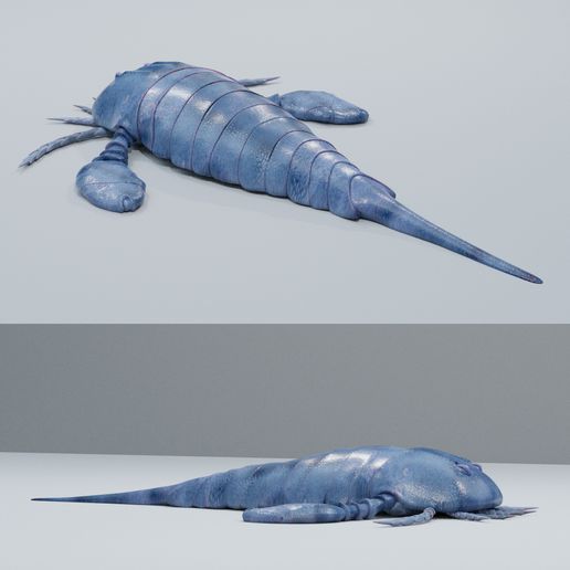 OBJ file eurypterus COLLECTIBLE PALEO ART 🎨 ・Template to download and ...