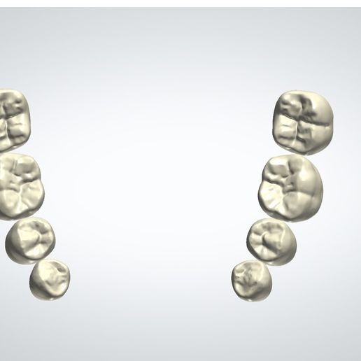 🦷 3Shape Library Molar_Natural_1・ STL File for 3D printing・Cults