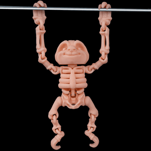 💀 Skeleton Sloth・ STL File for 3D printing・Cults