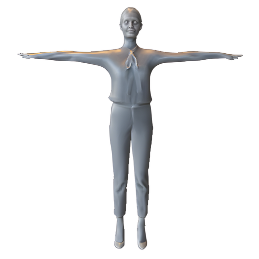 ♀️ Female Human Character T-Pose・ STL File for 3D printing・Cults