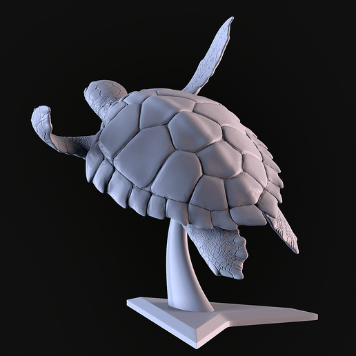 🐢 Turtle・ STL File for ・Cults