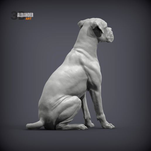 STL file Boxer dog sitting 3D print model 🐕 (OBJ)・Design to download ...