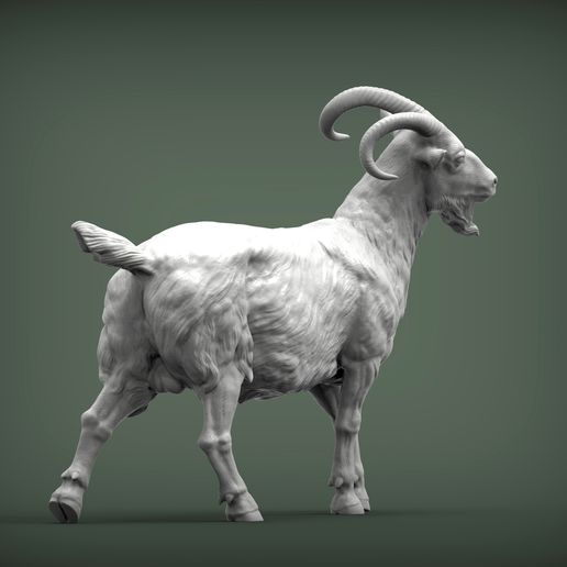 🐐 Goat 3D print model・ STL File for ・Cults