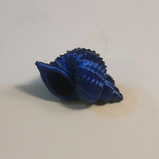 🐚 Spiral Shell・Free STL File for 3D printing・Cults