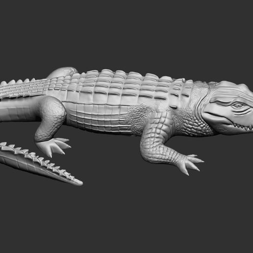 🐊 crocodile stl 3d printable model・ 3D File for 3D printing・Cults
