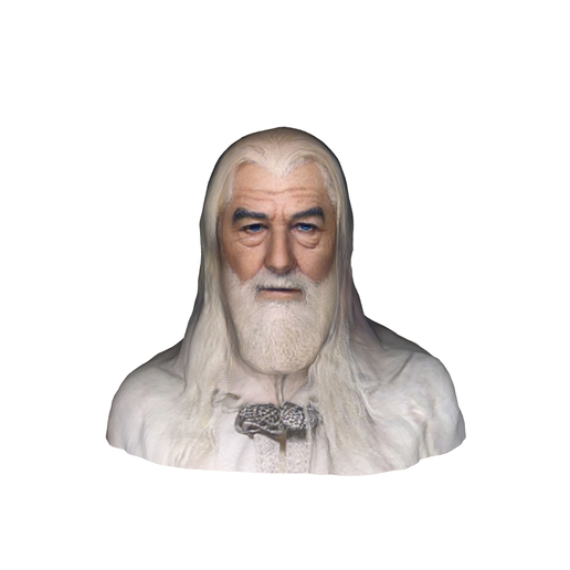 3D file Gandalf the Lord of the Rings Hobbit-bust/head/face ready for ...