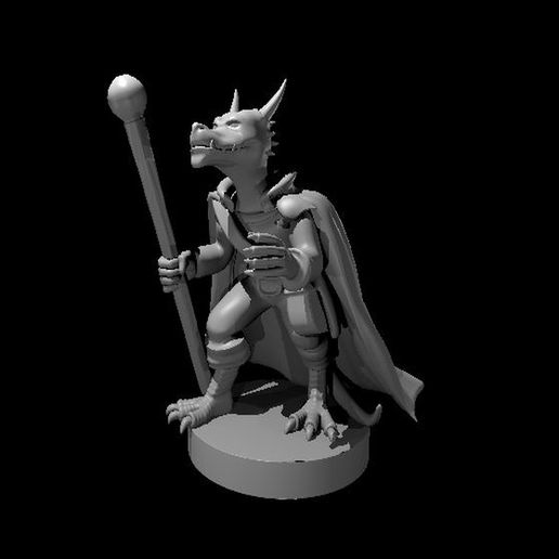 🎲 Kobold Press - The Last Heir - Player Characters!・Free STL File for ...