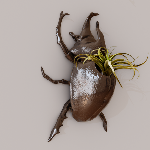 🪲 beetle wall mount planter pot flower vase stl・ STL File for 3D ...