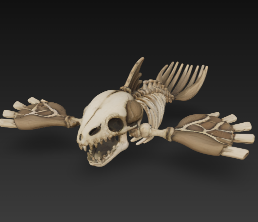 💀 Pokémon Kyogre Skull / Skeleton Version 蓋歐卡・ STL File for 3D printing ...