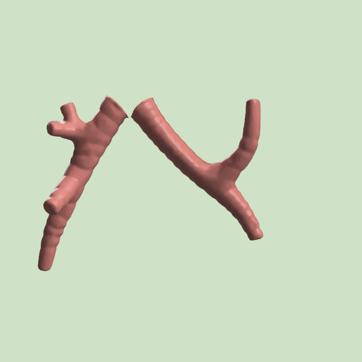 Archivo 3D BRONCHUS SEGMENTED 3D MODEL 🫁 ・Objeto de impresión 3D para ...