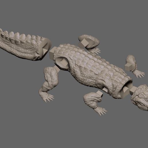 STL file Crocodile 🐊 ・3D print design to download・Cults