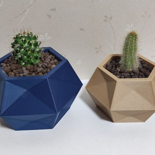 STL file Low Poly Cactus Pot 🌵 ・3D print model to download・Cults