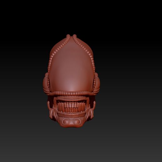 👽 Alien Xenomorph Head Wall Hanging・ STL File for 3D printing・Cults