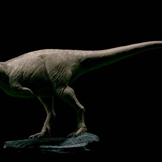 🗿 Lythronax argestes 1・ 3D File for 3D printing・Cults