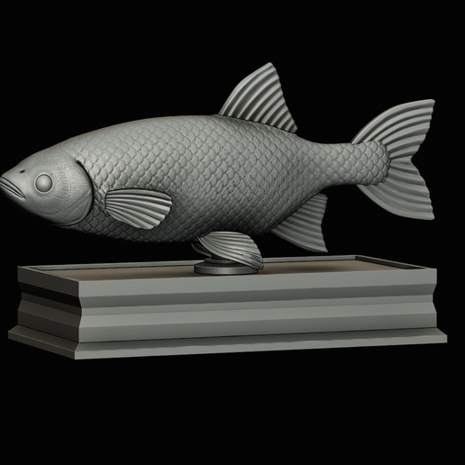 STL file fish common rudd / Scardinius erythrophthalmus with storage ...