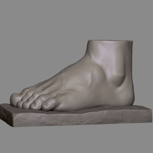 foot reference 3d