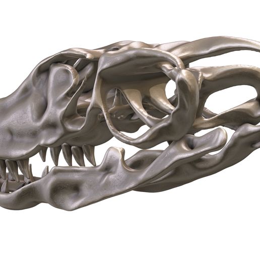 Fichier STL Megalania crâne 🐉 (OBJ)・Design pour imprimante 3D à ...