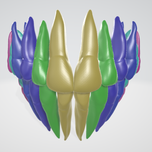 STL file UPPER AND LOWER TEETH 🦷 (OBJ)・3D printable model to download・Cults