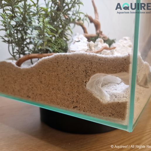 🐠 Printable Aquarium & Terrarium Corner Cave Sea Flow | Fish Tank ...