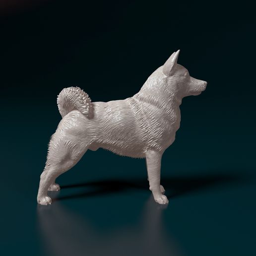 🐕 Norwegian Elhound・ STL File for 3D printing・Cults