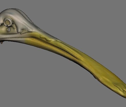 🐦 More Bird Skulls・Free 3D File for ・Cults