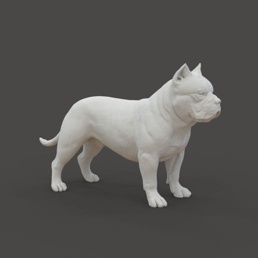 🐕 American Bully Animal・ STL File for 3D printing・Cults