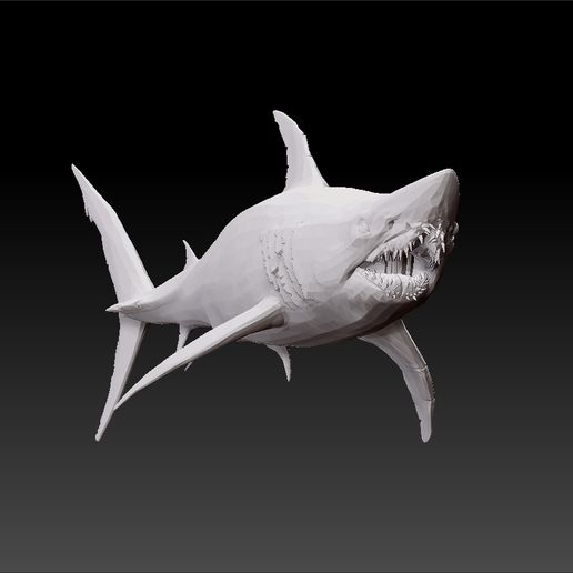 STL file Shark - sea animal -wild shark - game lowpoly shark 🦈 ・3D ...