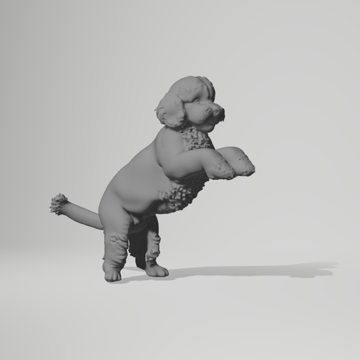 🐕 Labradoodle Dog, jumping position・ STL File for 3D printing・Cults