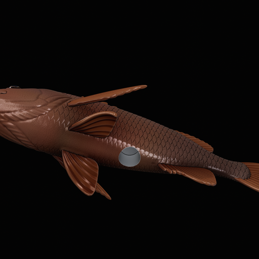 🐠 fish mangrove jack / mangrove red snapper / Lutjanus argentimaculatus ...