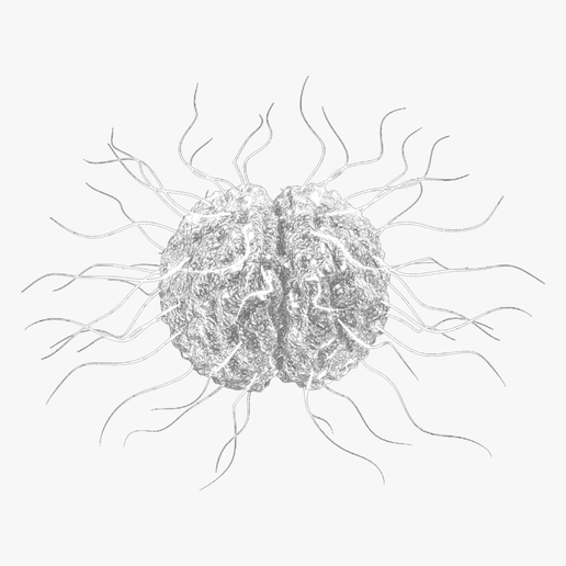 gonorrhea drawing