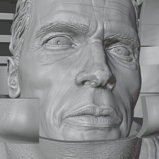 👤 High-Detail 1:1 Arnold Schwarzenegger Bust (Total Recall)・ 3D File ...