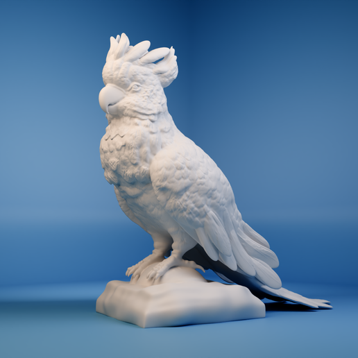 🦜 cockatoo parrot stl・ STL File for 3D printing・Cults