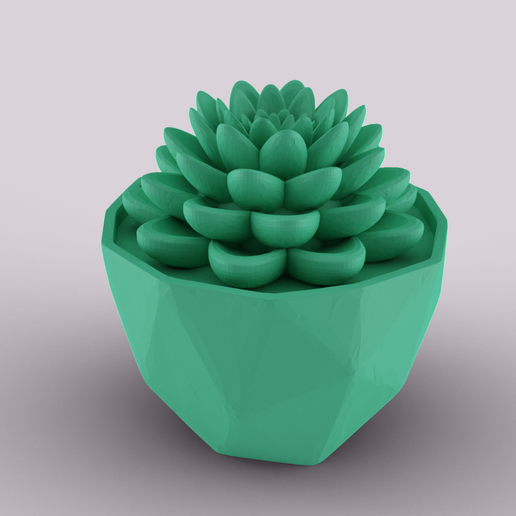 STL file Decorative Fake Succulent Pot 🪴 ・3D printing design to download・Cults