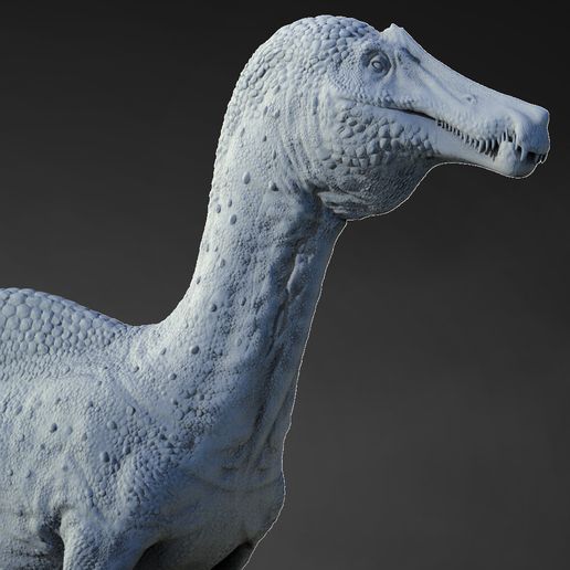 🐉 Irritator challengeri・ STL File for 3D printing・Cults