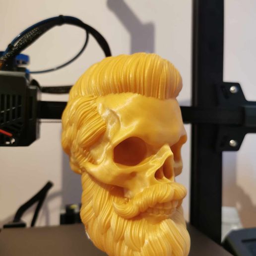 3D printer BEARD SKULL COLLECTION - Nº1 • made with creality ender 3 v2 ...