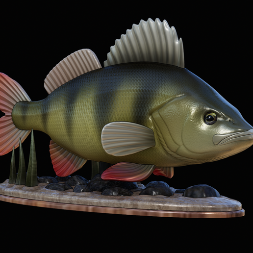 STL file fish perch / Perca fluviatilis statue underwater detailed ...