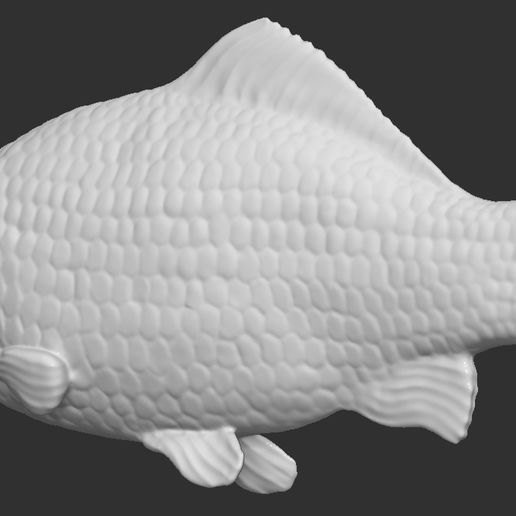 🎏 Crucian carp fish 3D model ready for 3D printing・ STL File for 3D ...