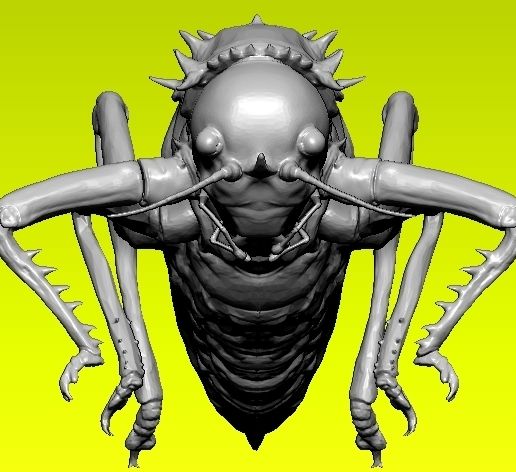 STL file Insect-cricket model - 3D print 🦗 ・3D printing design to ...