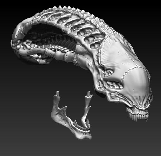 👽 ALIEN VS PREDATOR SKULL PACK・ STL File for 3D printing・Cults