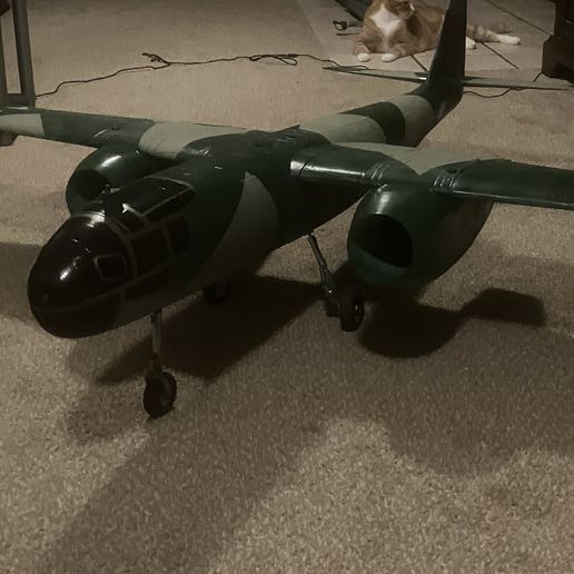 ️ AR-234 RC/ LW-PLA TEST PIECES・Free STL File for 3D printing・Cults