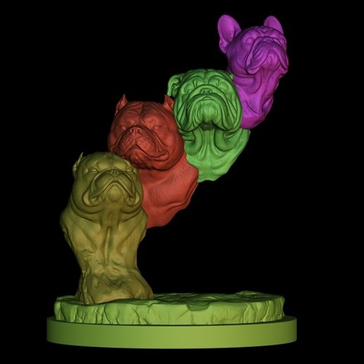 🏆 Trophy American bully, exotic, french, english, french, english・ STL ...