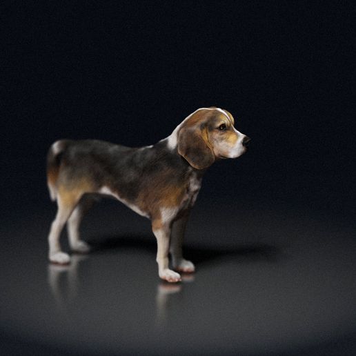 🎨 Beagle - STL & VRML COLOR FORMAT !- HUSH PUPPY - DOG BREED - SITTING ...